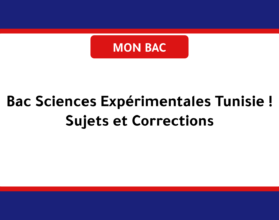 Bac Informatique Tunisie ! Sujets et Corrections