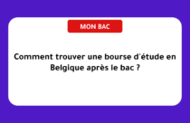 Mon BAC ! Sujets et Corrigés et l'après BAC
