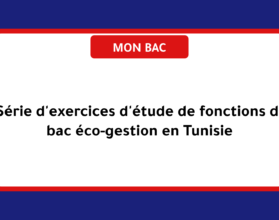 Série d'exercices corrigée de dissertation du bac éco-gestion en Tunisie